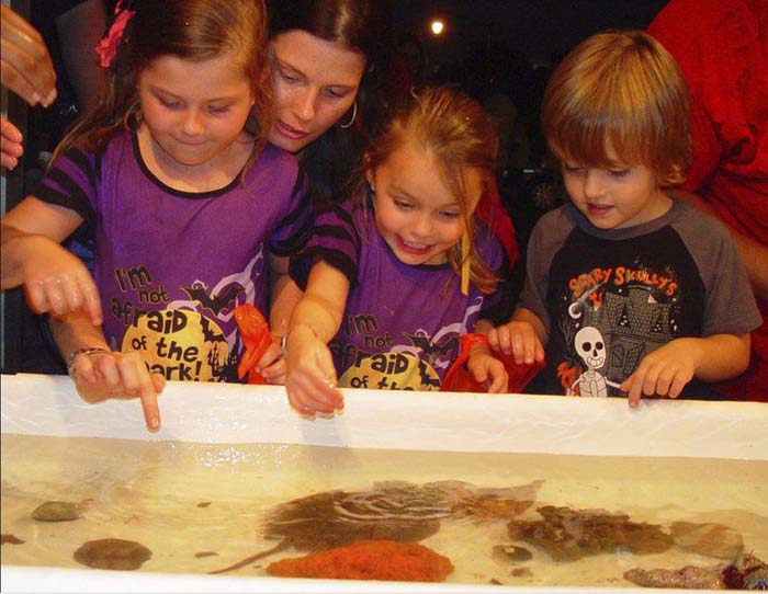 Gulf Specimen Marine Lab is worth the trip | Thomasville Times-Enterprise