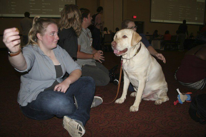 Dogs help students Destress | Thomasville Times-Enterprise
