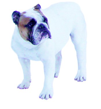 Man gets prison in Bubba case | Thomasville Times-Enterprise